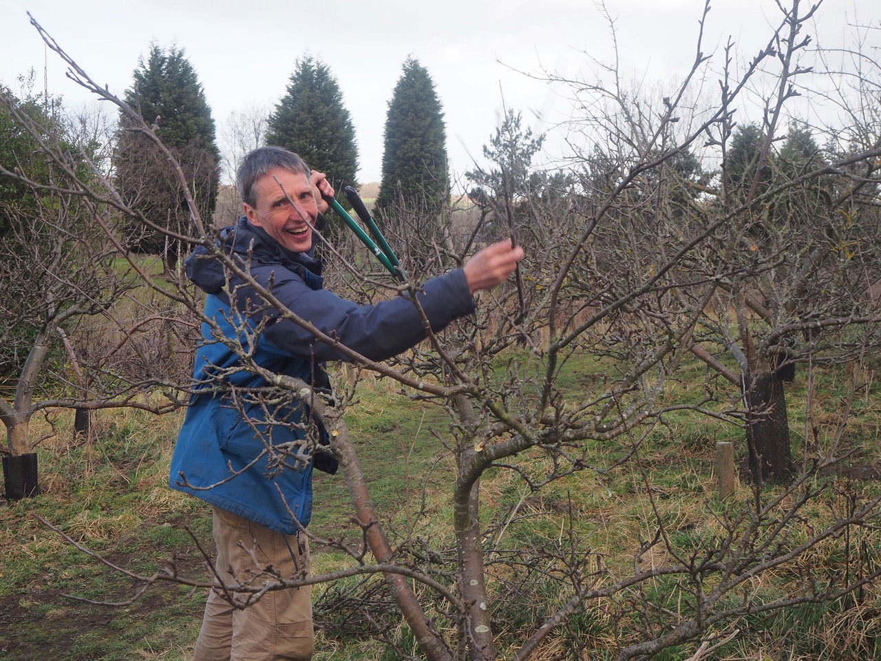 Community Pruning - Newcastle Tree Services