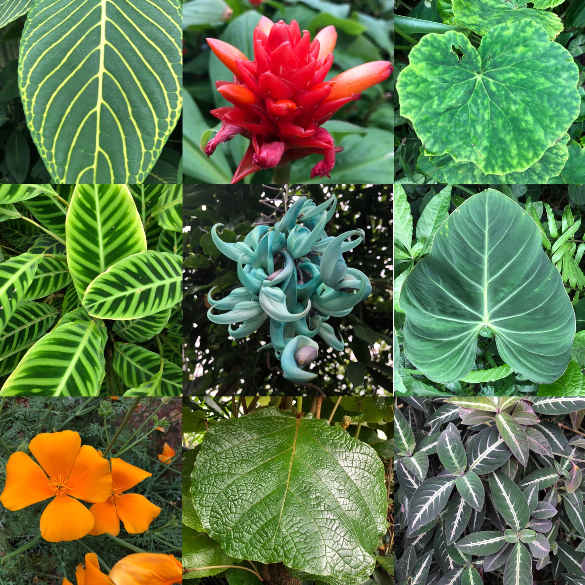 Reset. Unwind. Connect. - Newcastle Tree Services