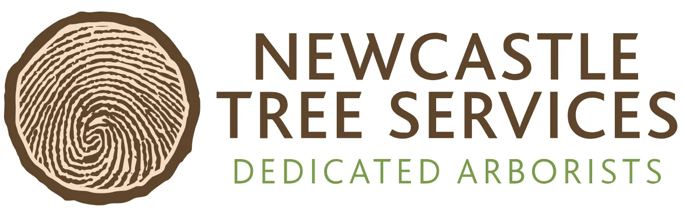Newcastle Tree Services - Newcastle Tree Services
